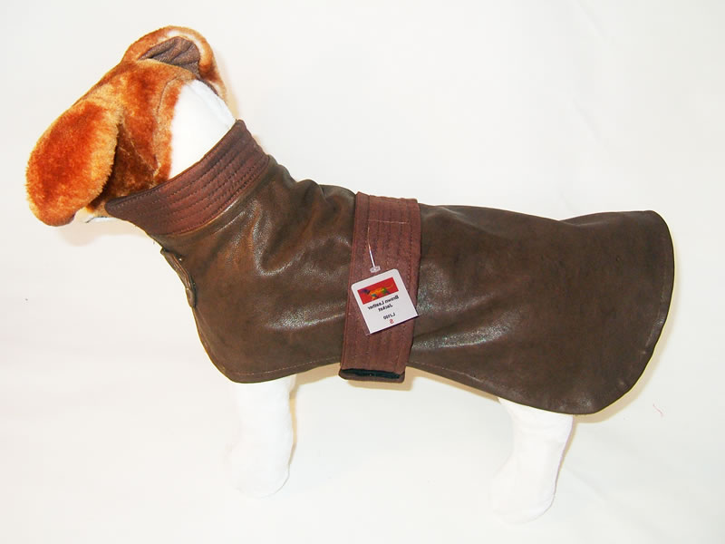 Dachshund / Dog Bespoke Leather Jacket